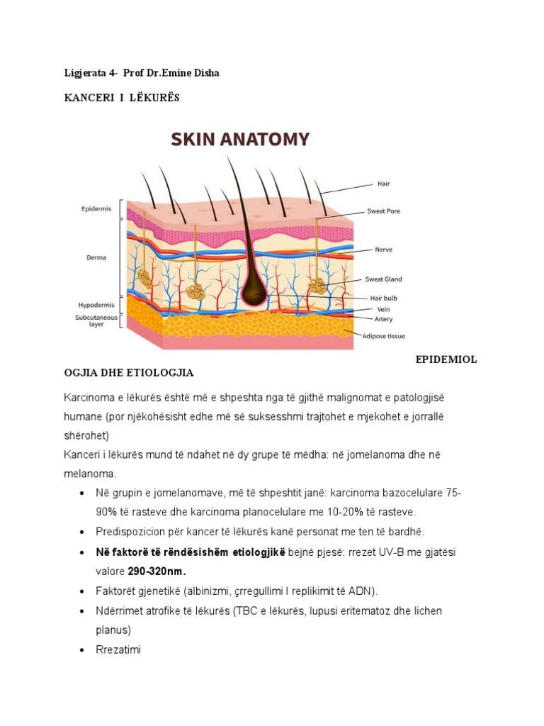 Kanceri I Lekures Se Bardh Dhe Te Zez | PDF