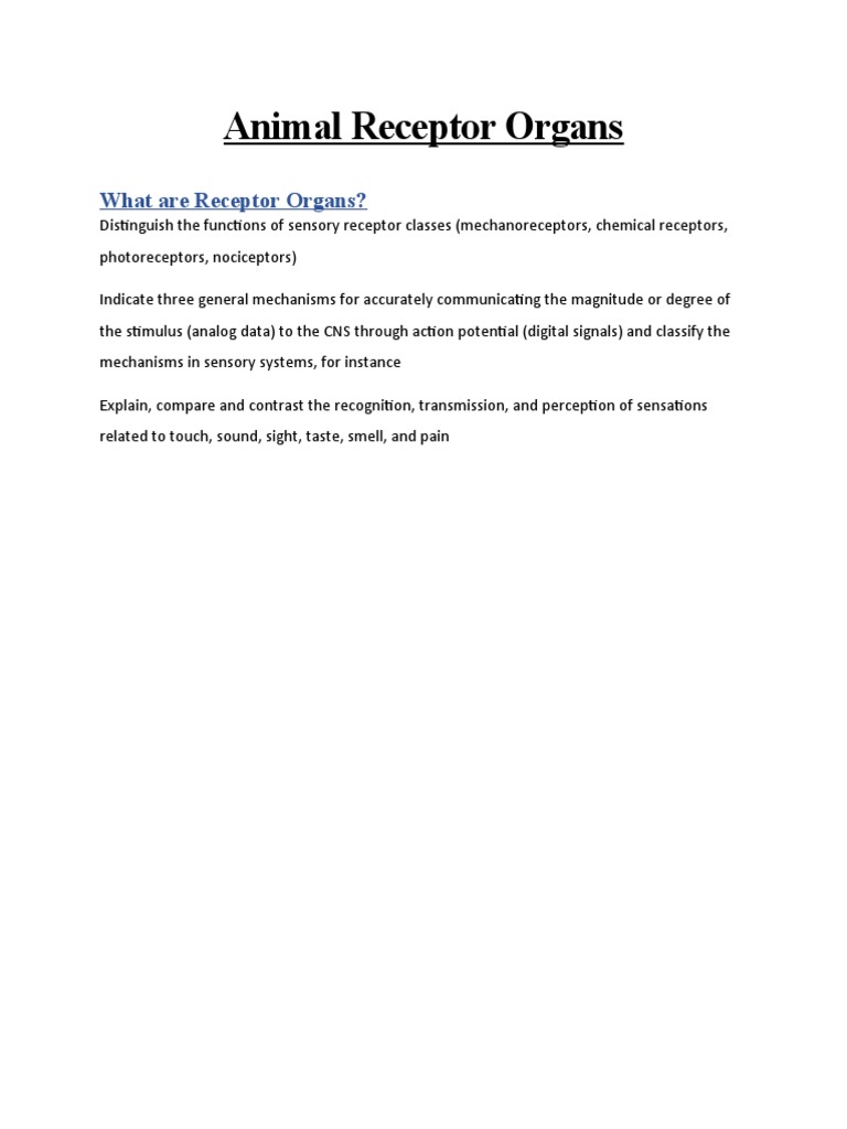 Animal Receptor Organs | PDF | Science & Mathematics