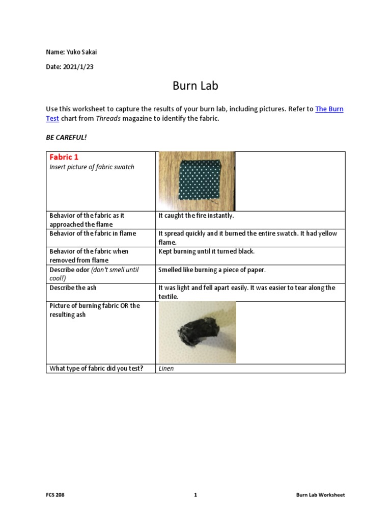 Fabric Burn Lab Analysis | PDF