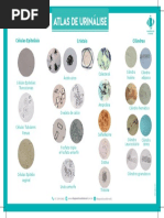 Mini Atlas de Urinálise | PDF