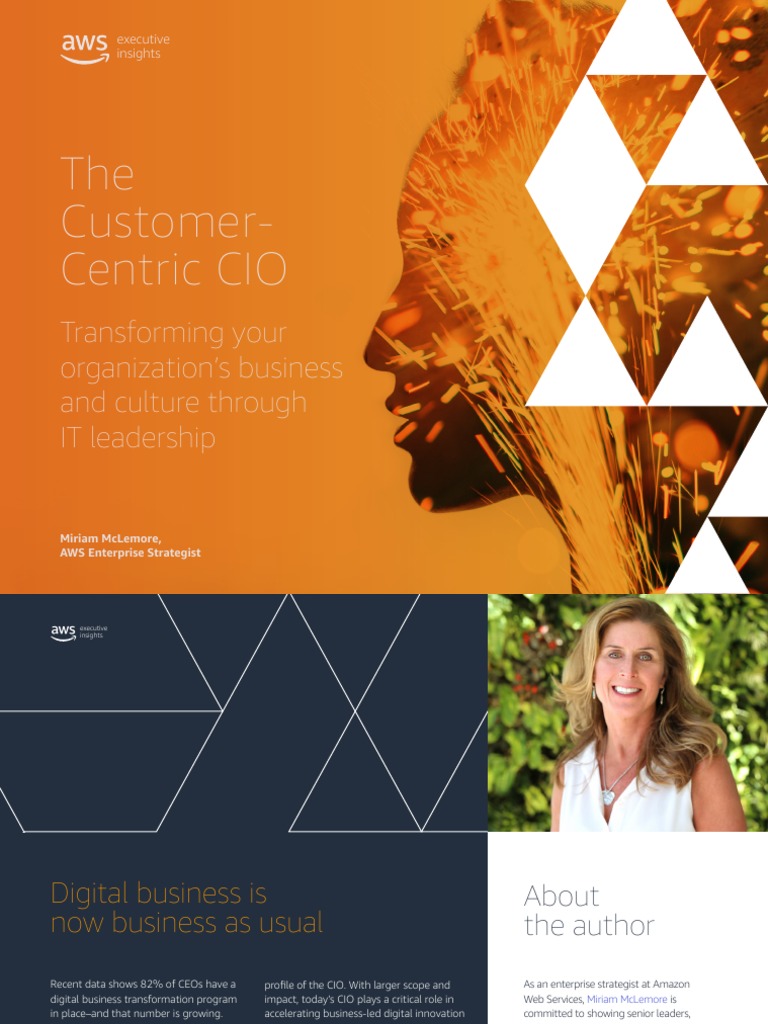 Ebook The Customer Centric Cio | PDF | Chief Information Officer ...