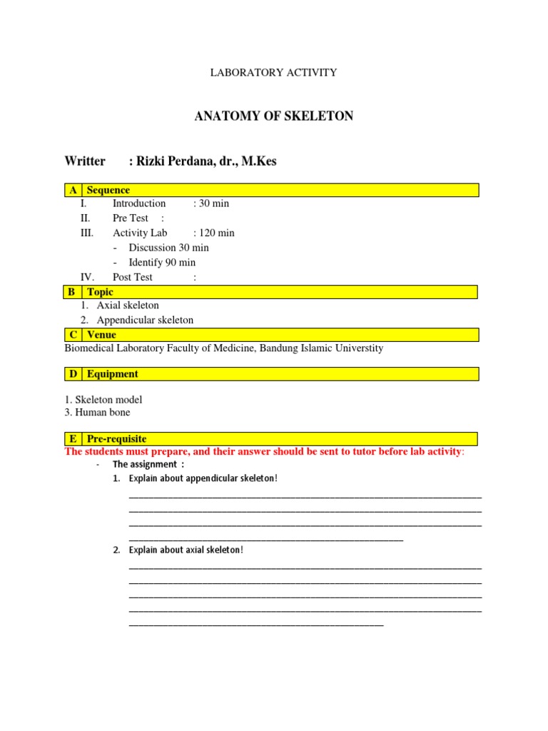Anatomy of Skeleton Lab Activity | PDF | Skeletal System ...