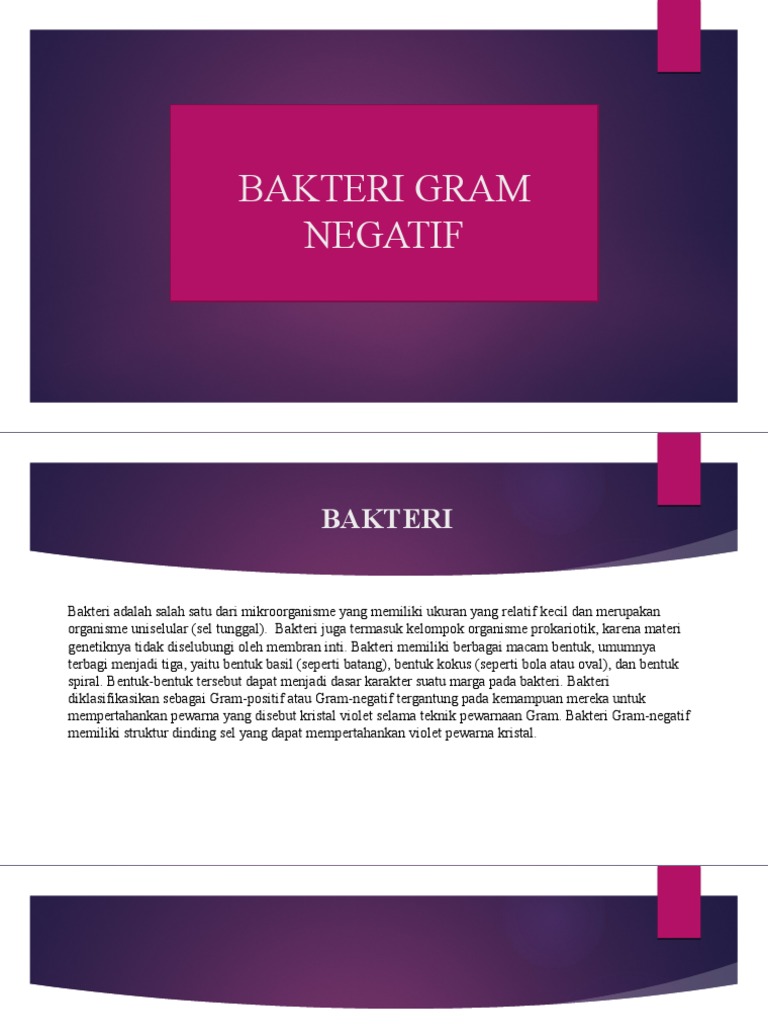 Bakteri Gram Positif | PDF