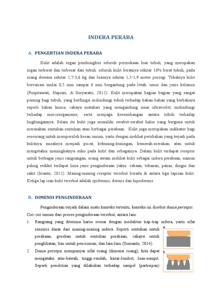 Biopsikologi Indera Peraba | PDF | Ilmu Sosial | Kesehatan Holistik