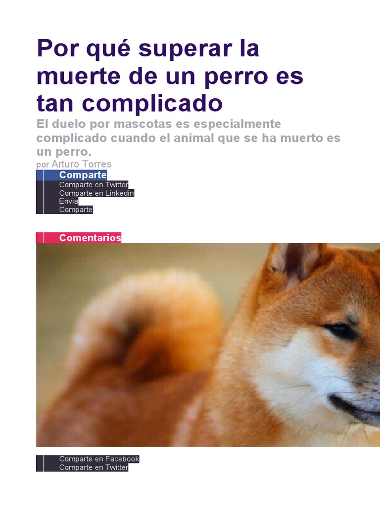 Duelo Por Mascota | PDF | Amor | Mascota