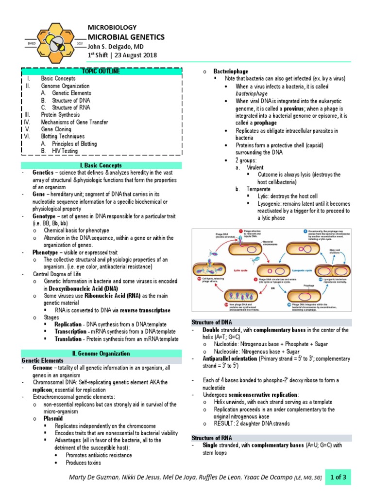 06 Microbiology - Microbial Genetics | PDF | Dna | Rna