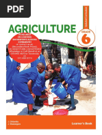 2025 Msce Timetable - Maneb | PDF