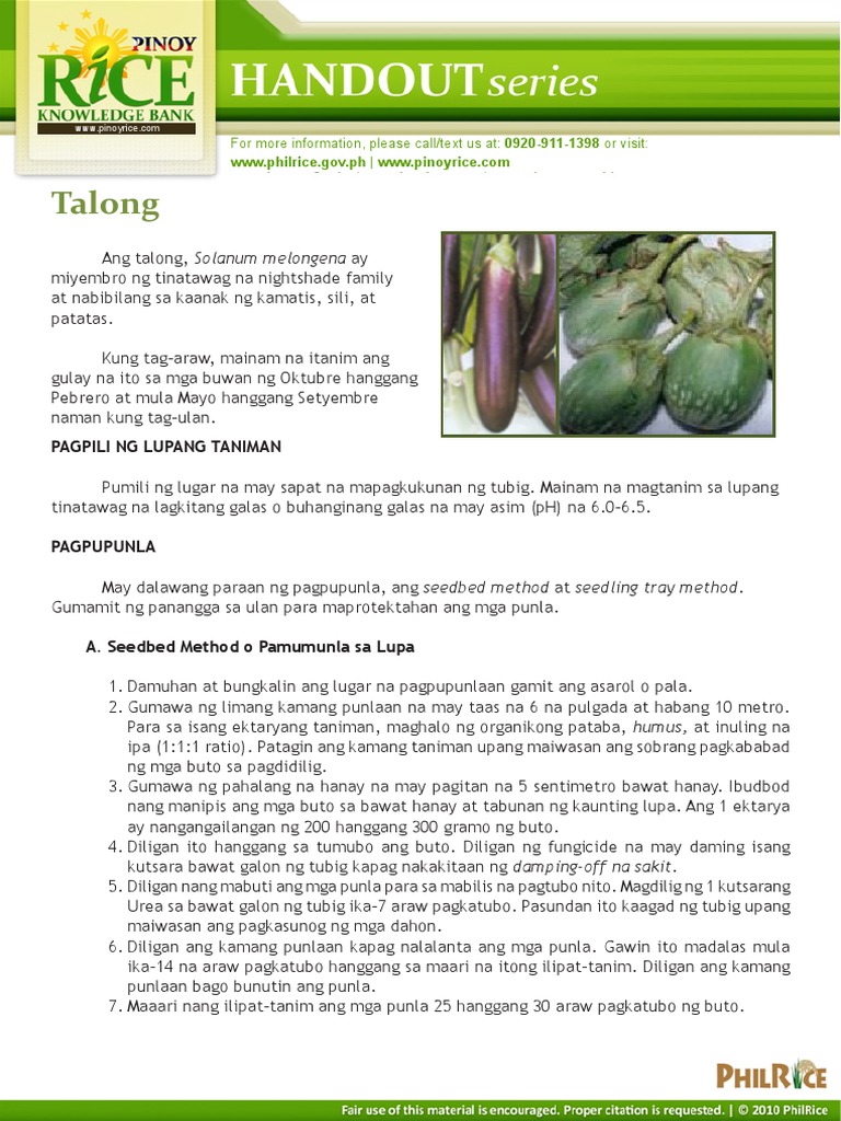 Talong | PDF