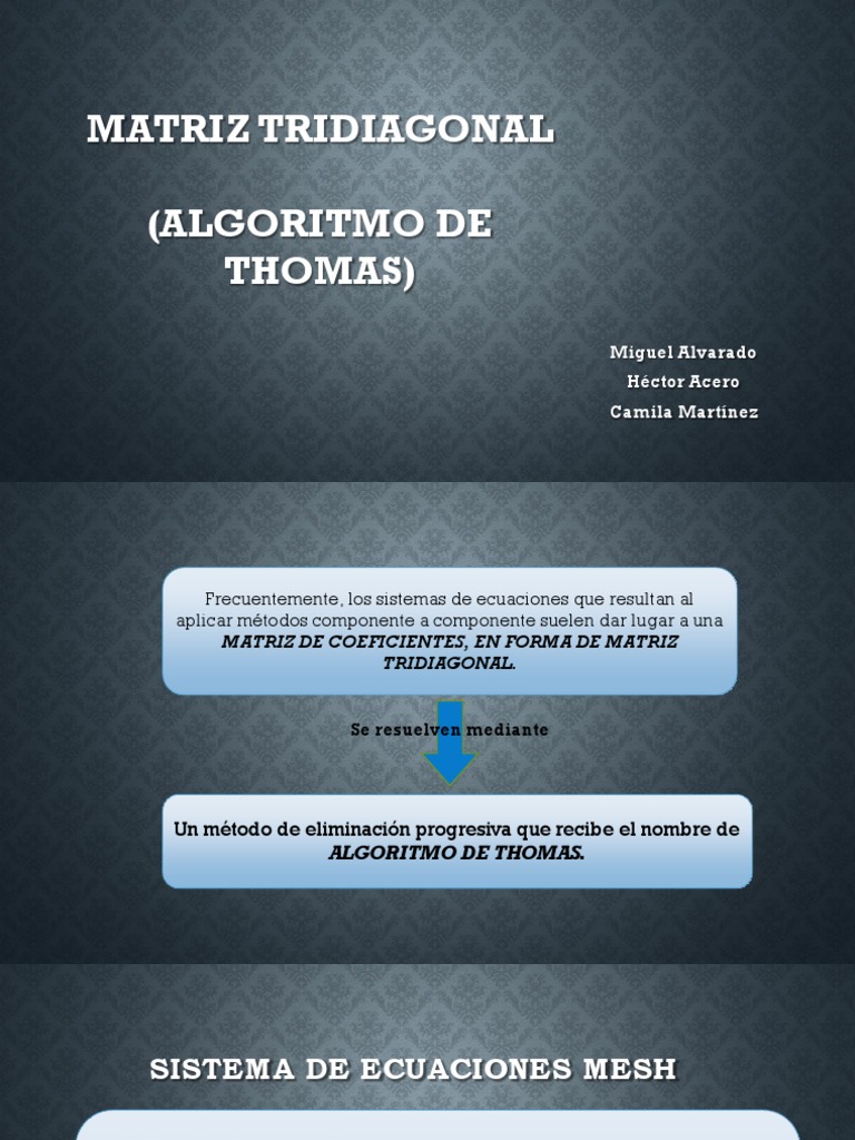 Resolución de sistemas de ecuaciones MESH mediante el algoritmo de ...