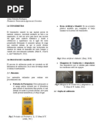 Morfología de Frutos: Silicua y Cipsela | PDF | Fruta | Morfología Vegetal