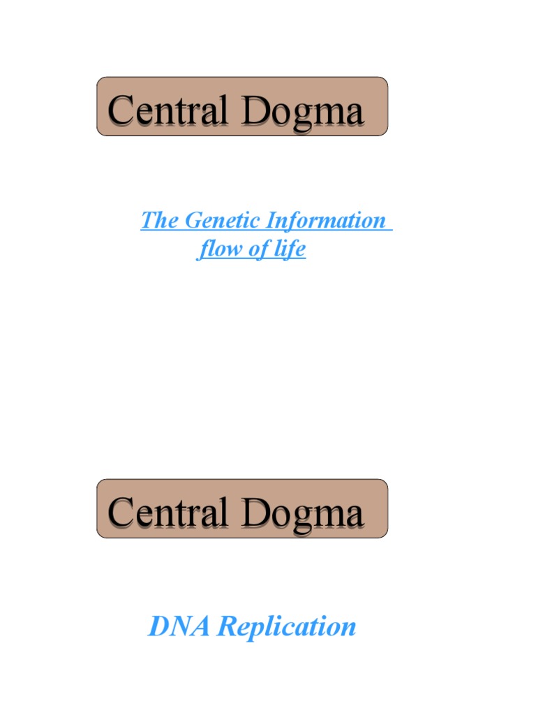 Central Dogma Central Dogma: The Genetic Information Flow of Life | PDF ...