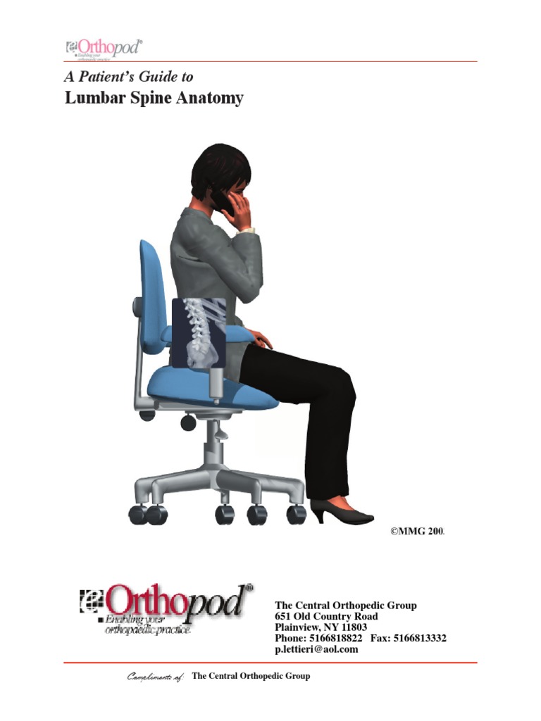 Lumbar Spine Anatomy Overview | PDF | Vertebral Column | Vertebra