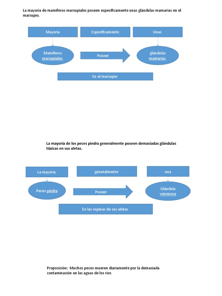 Proposiciones Mentefacto Modal Lectores | PDF