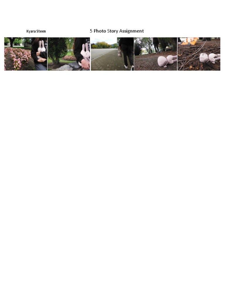 Photo Story Example | PDF