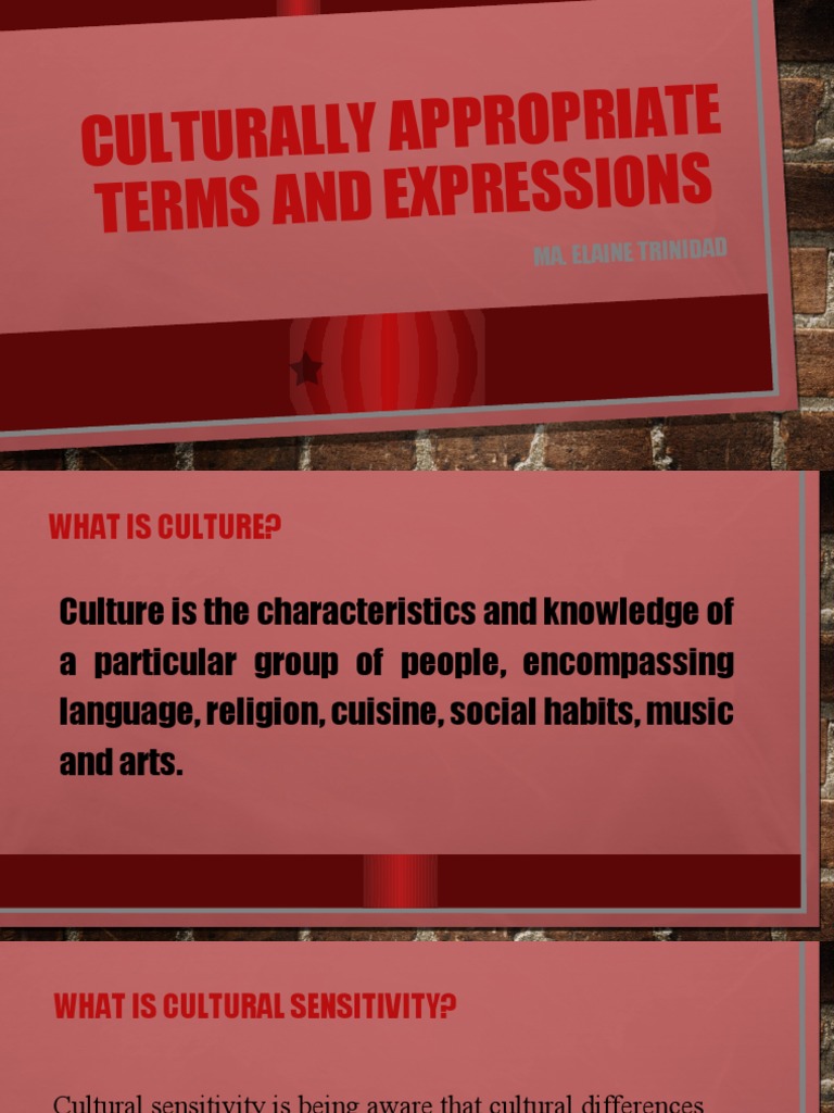 Culturally Appropriate Language Guide | PDF | Social Science