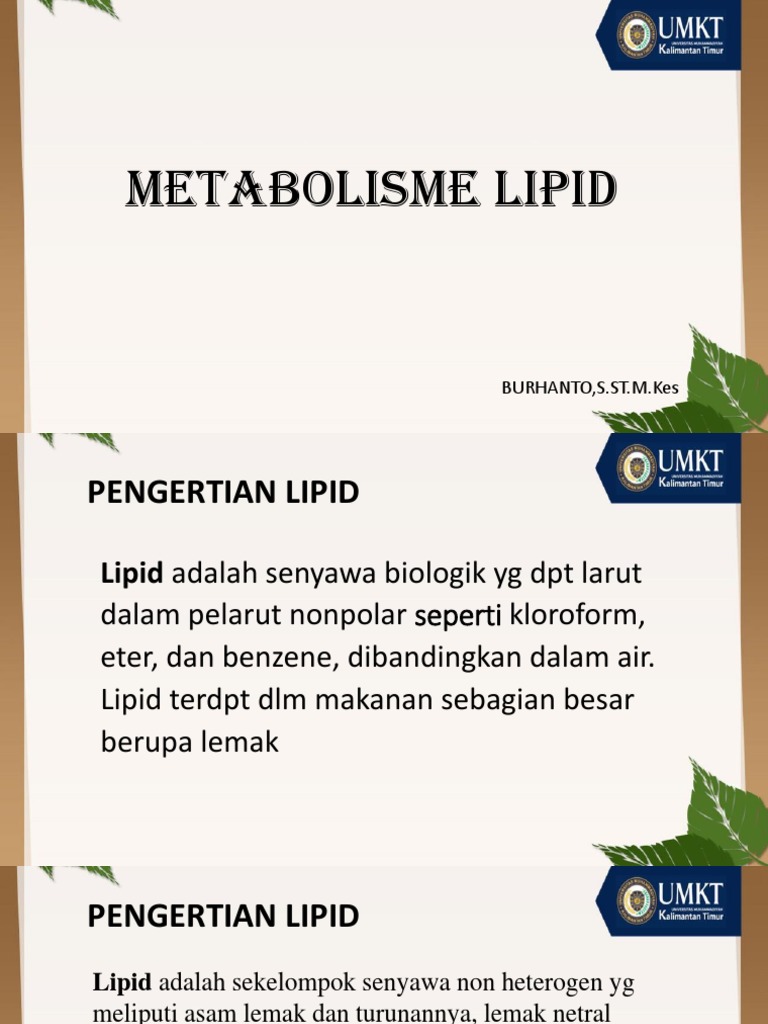 Metabolisme Lemak | PDF