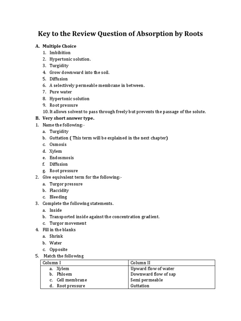 Turgor Pressure in Plant Cells | PDF | Osmosis | Organisms