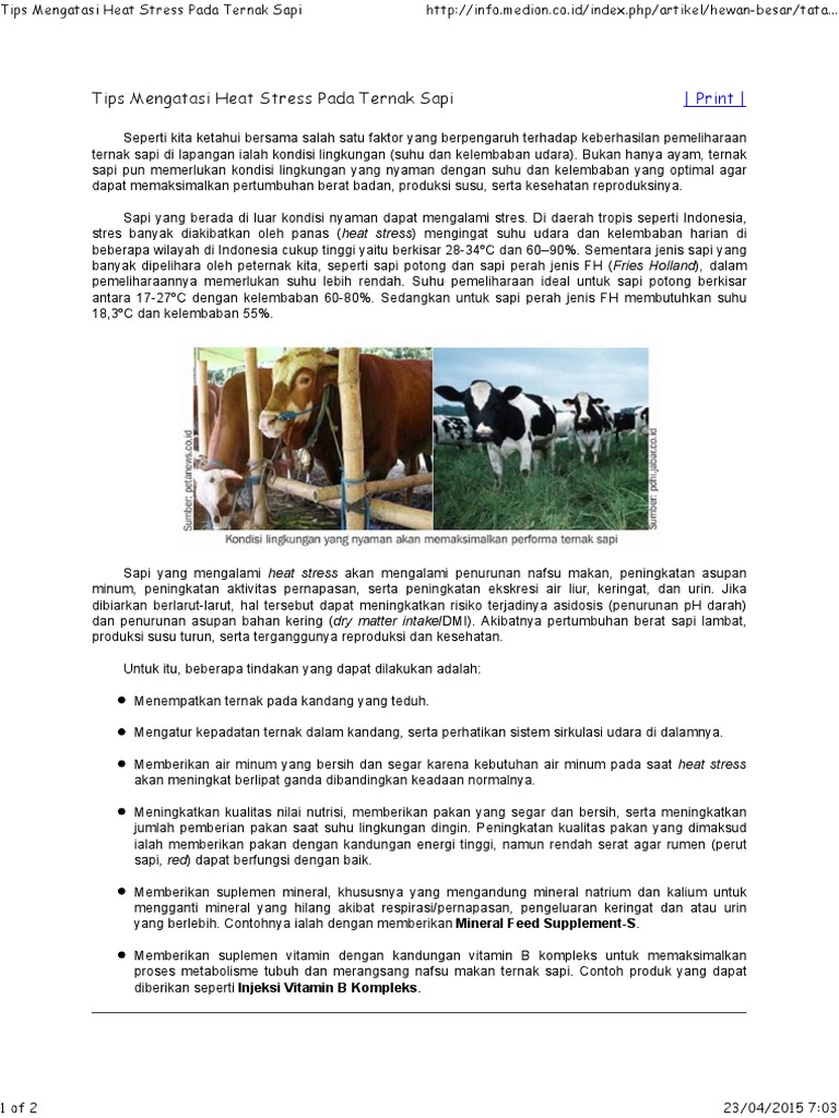 Tips Mengatasi Heat Stress Pada Ternak Sapi | PDF