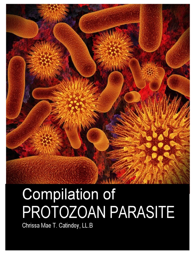 Compilation of Parasites | PDF | Medical Specialties | Biology