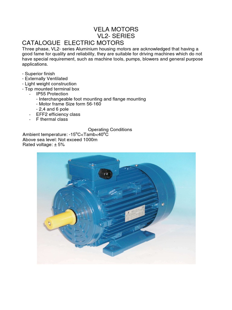 VL2- Series Electric Motors Technical Specifications and Catalogue ...