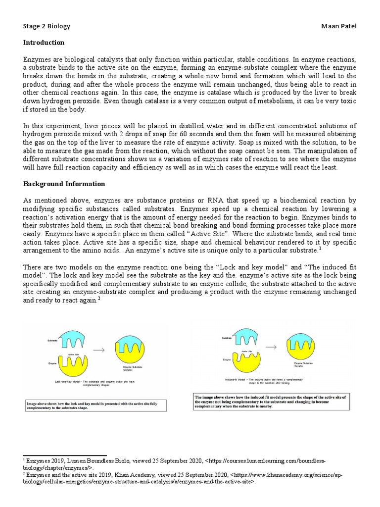 Substrate Concentration Effects on Catalase | PDF | Active Site ...