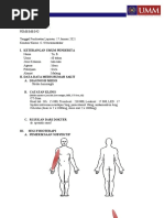 ROM Normal Setiap Regio | PDF