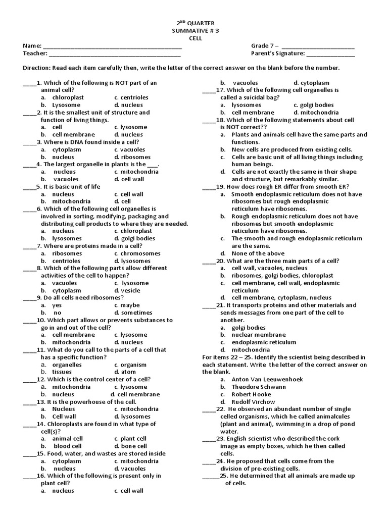 7th Grade Cell Unit Exam Questions | PDF | Endoplasmic Reticulum | Cell ...