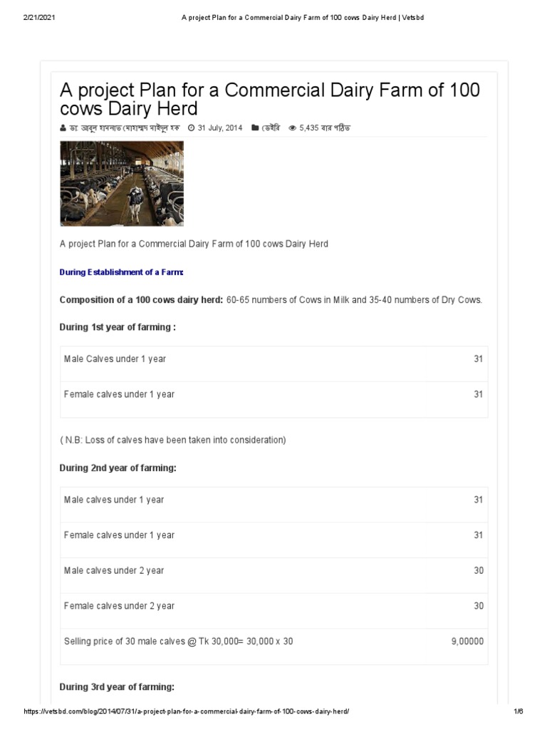 100 Cow Dairy Farm Project Plan | PDF | Dairy Cattle | Calf