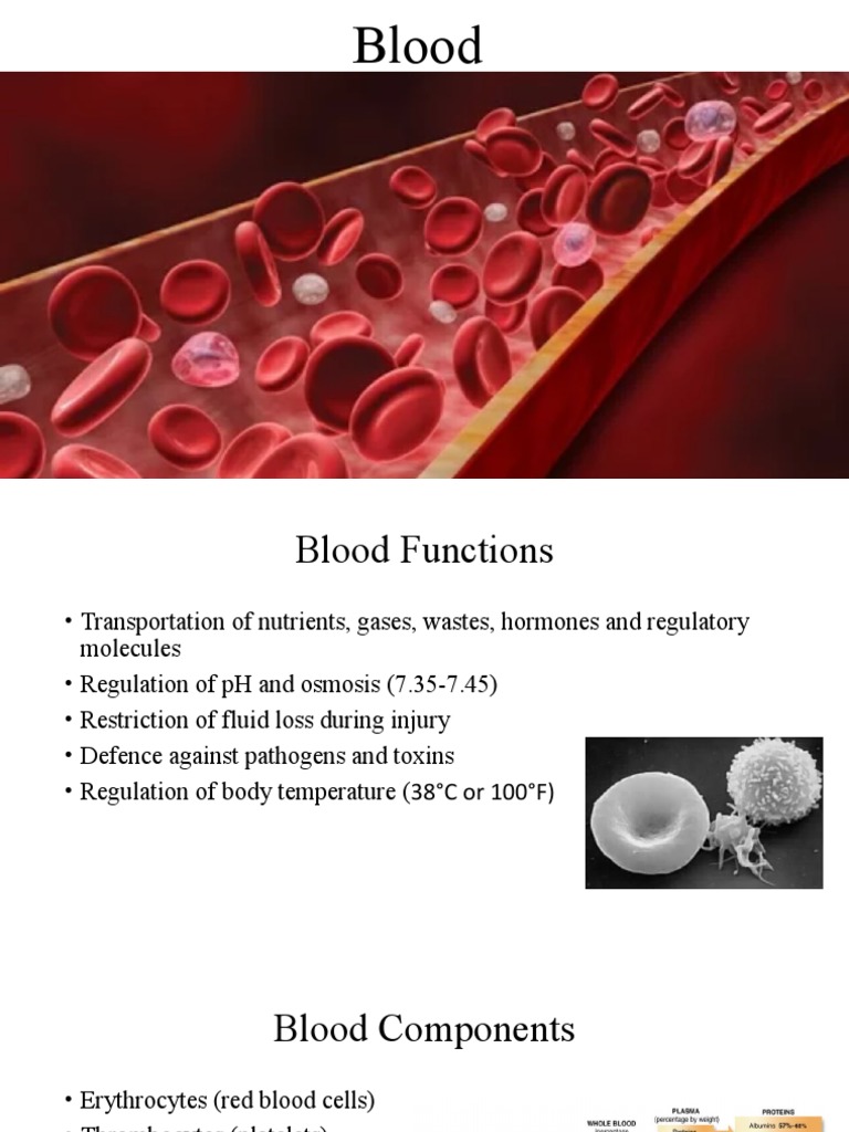 Blood Science Nursing | PDF | Blood Cell | White Blood Cell