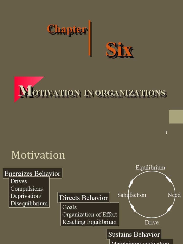 Six Six: Otivation in Organizations | PDF | Motivation | Motivational