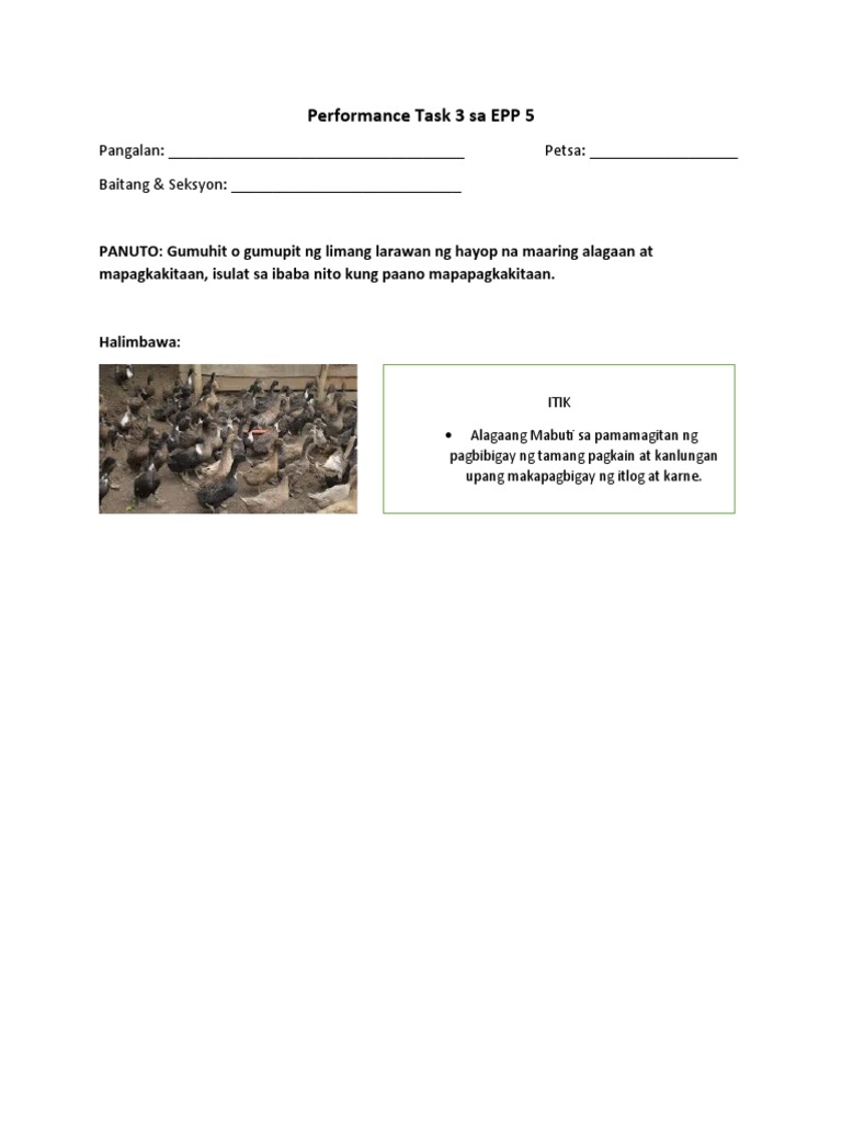 Performance Task 3 Sa EPP 5 | PDF