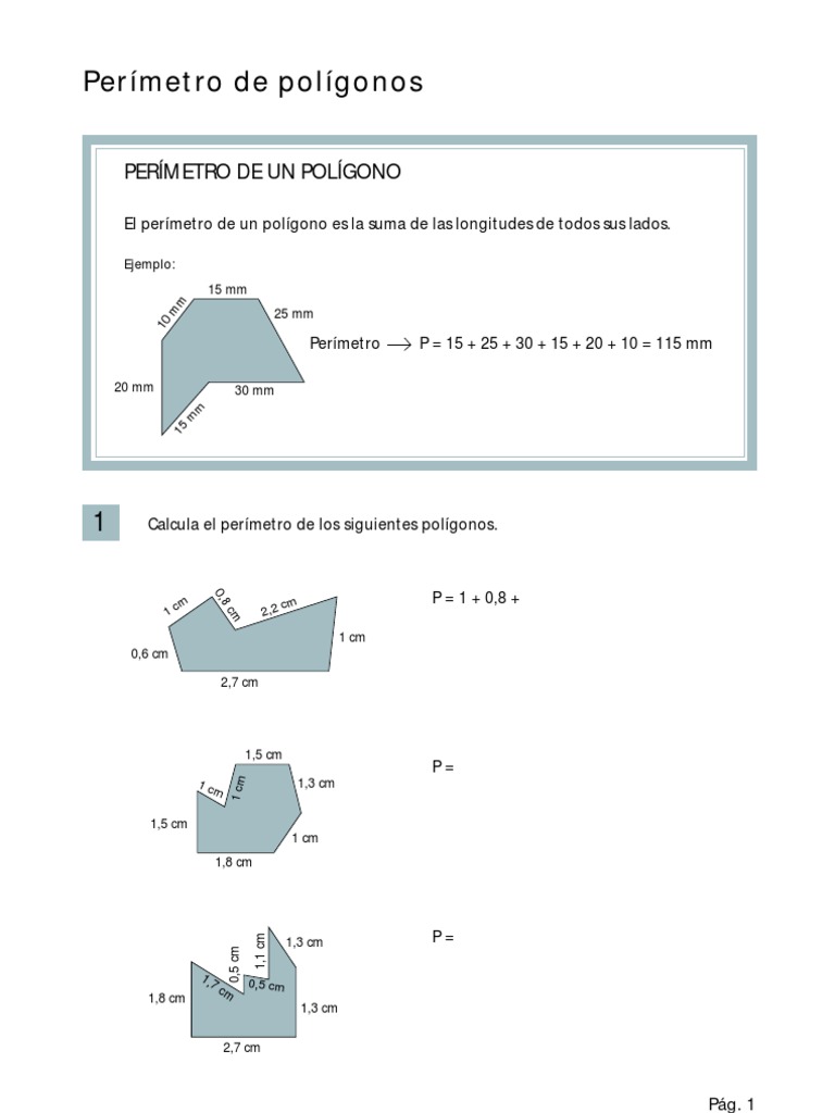 Perimetro Poligonos | PDF