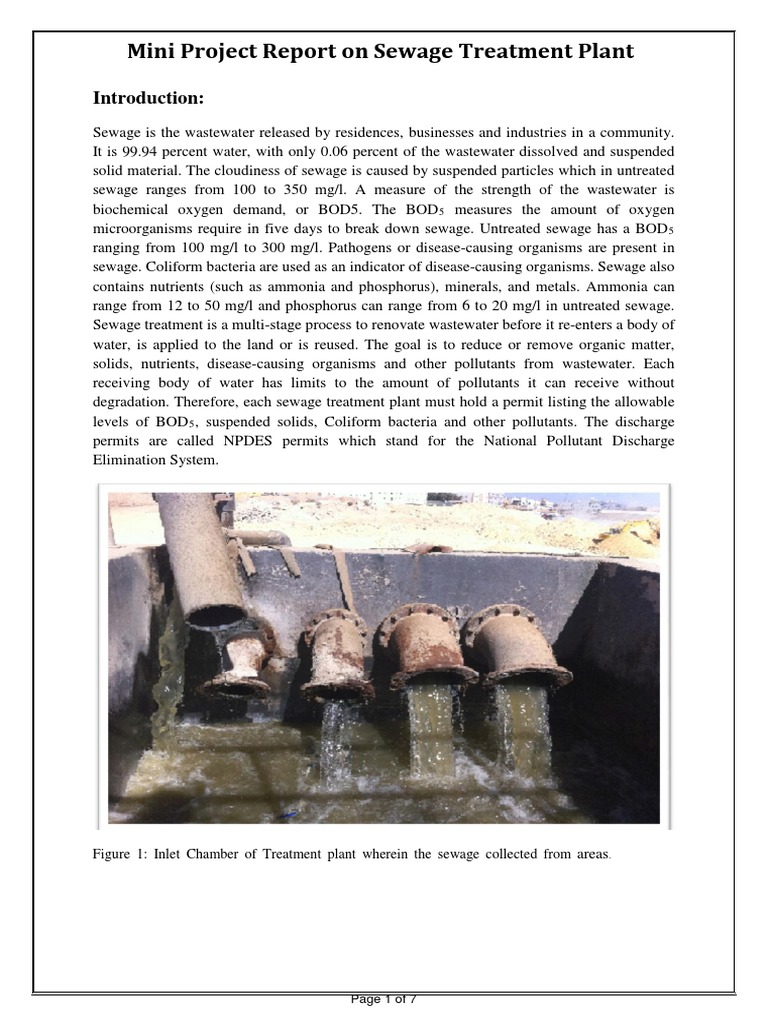 EE-2 Mini Project Report | PDF | Sewage Treatment | Environmental ...