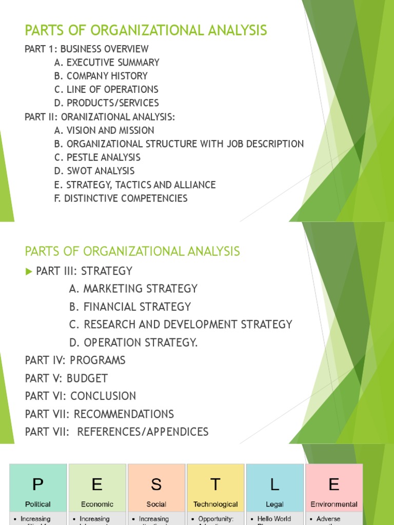 Comprehensive Organizational Analysis Guide | PDF