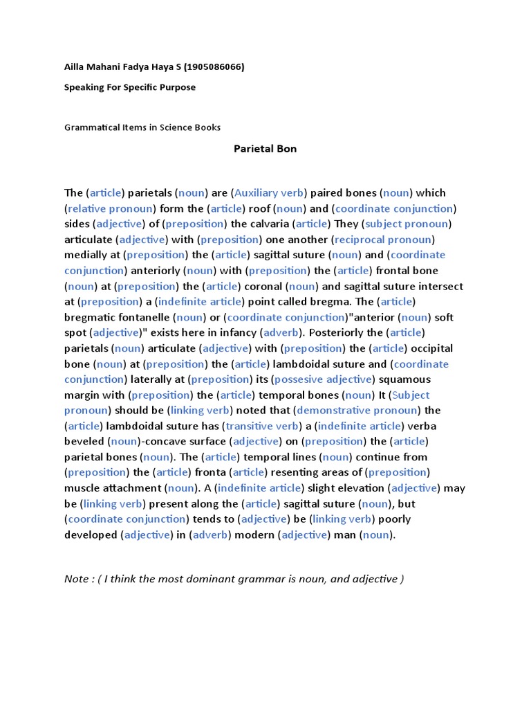 Ailla Mahani Fadya Haya S (1905086066) - Soeaking Grammatical Items ...