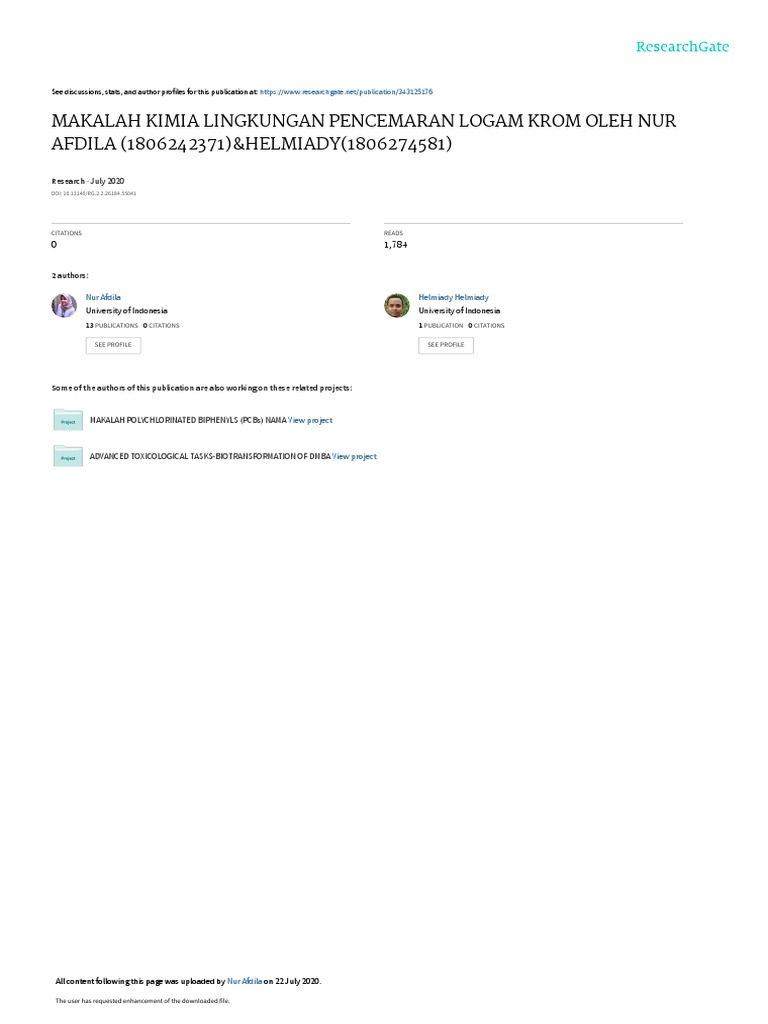 Makalah Kimia Lingkungan Pencemaran Logam Krom Oleh Nur AFDILA (1806242371) &HELMIADY ...