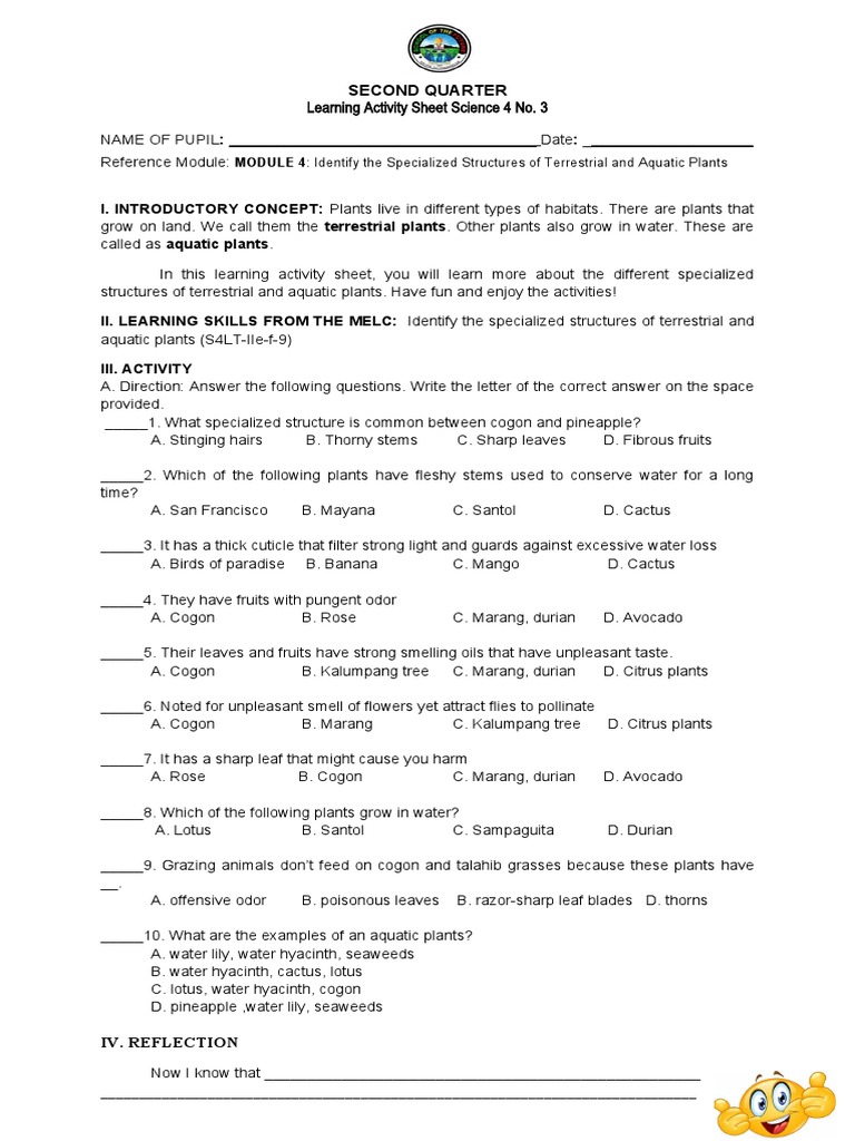 Activity Sheet - Science4 Q2 No.3 REGION | PDF | Plants | Leaf