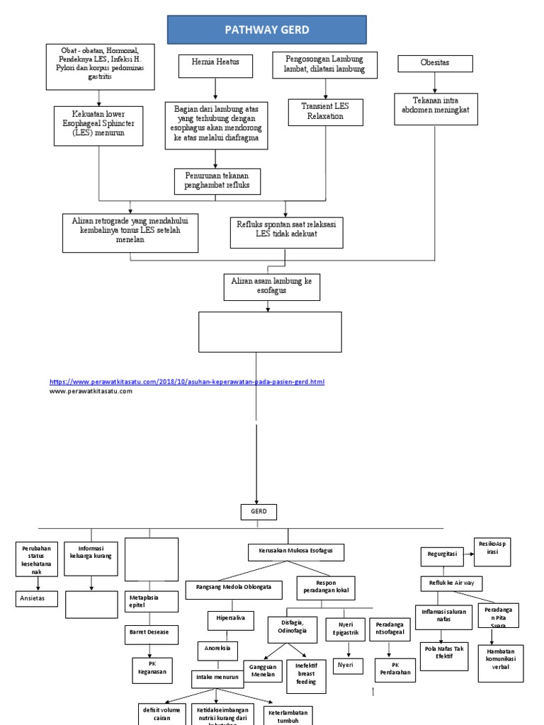 Pathway GERD | PDF