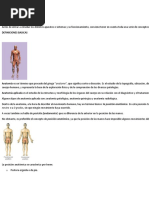 Términos de Lateralidad en Anatomía | PDF | Términos anatómicos de ...