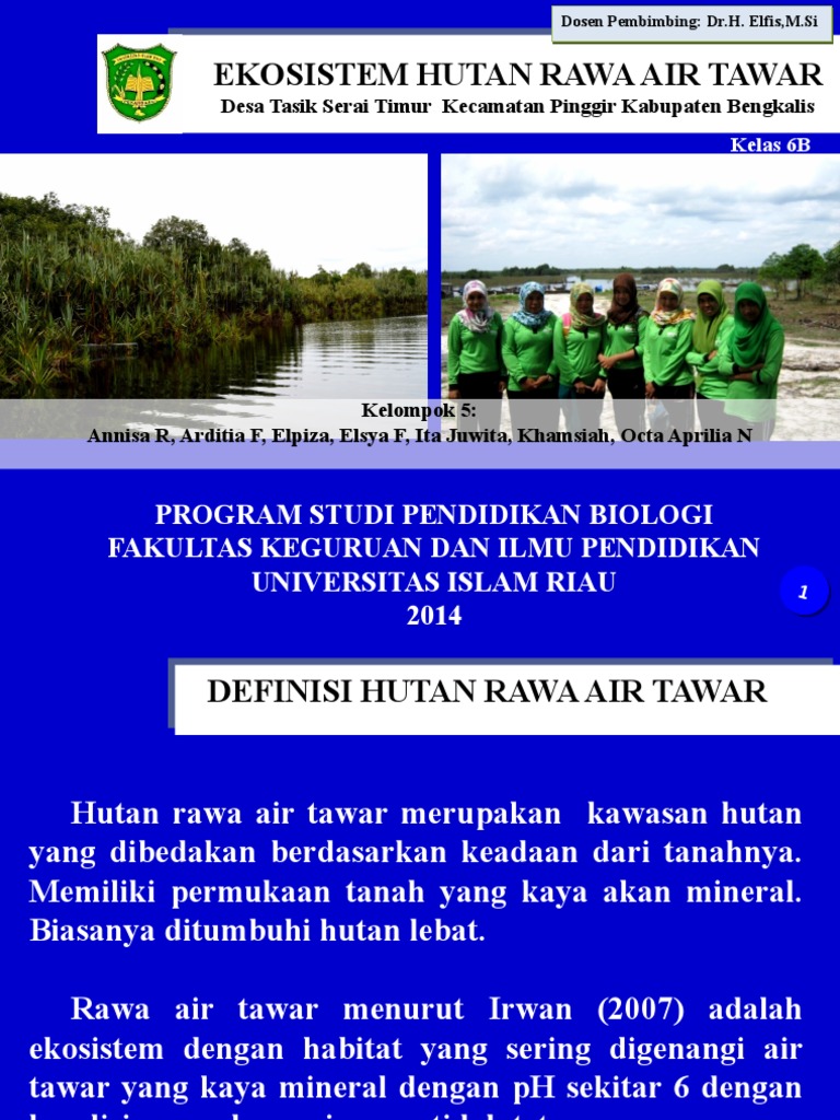 Ekosistem Rawa Air Tawar | PDF | Sains & Matematika