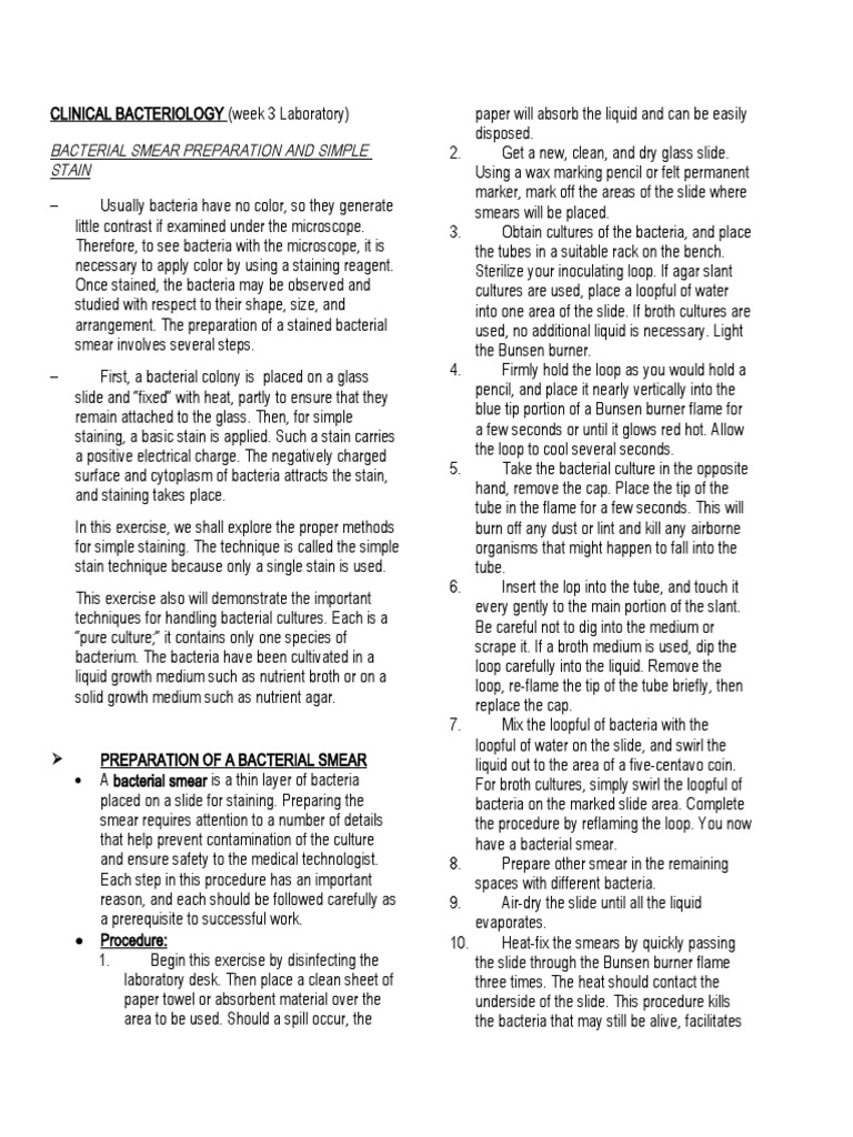 Week 3 Bacterial Smear Preparation And Simple Stain Pdf Staining