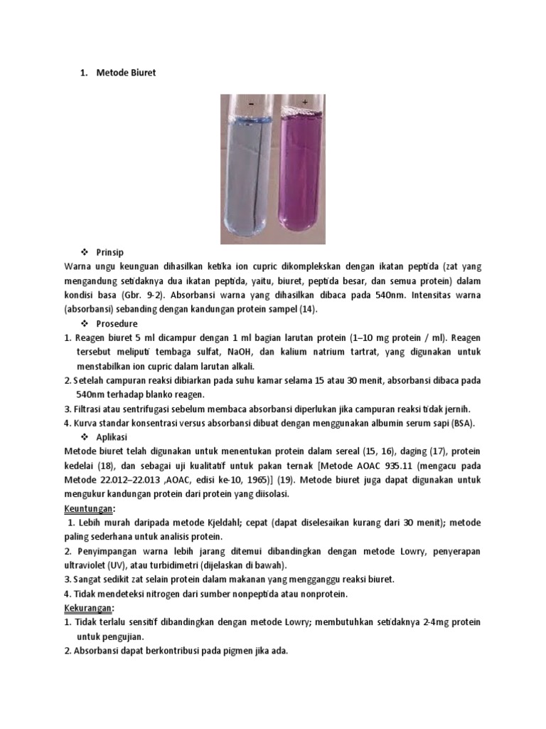 Metode Biuret Dan Lowry | PDF
