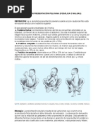 Parto Podálico: Mecanismos y Maniobras | PDF | Parto | Feto