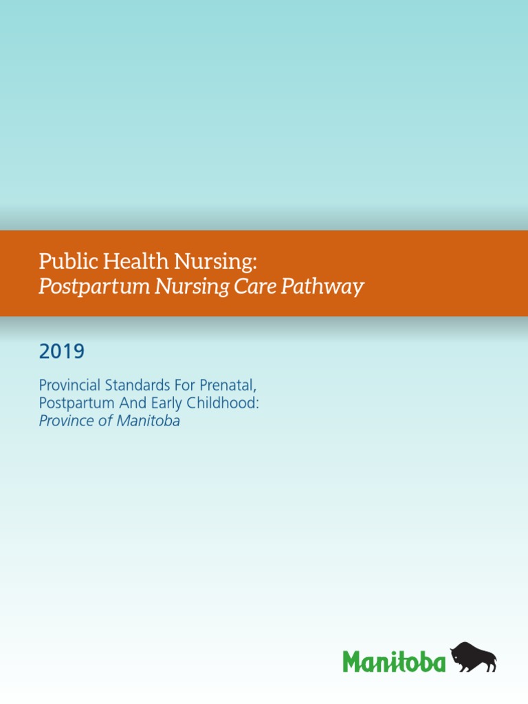 Public Health Nursing:: Postpartum Nursing Care Pathway | PDF | Nipple ...