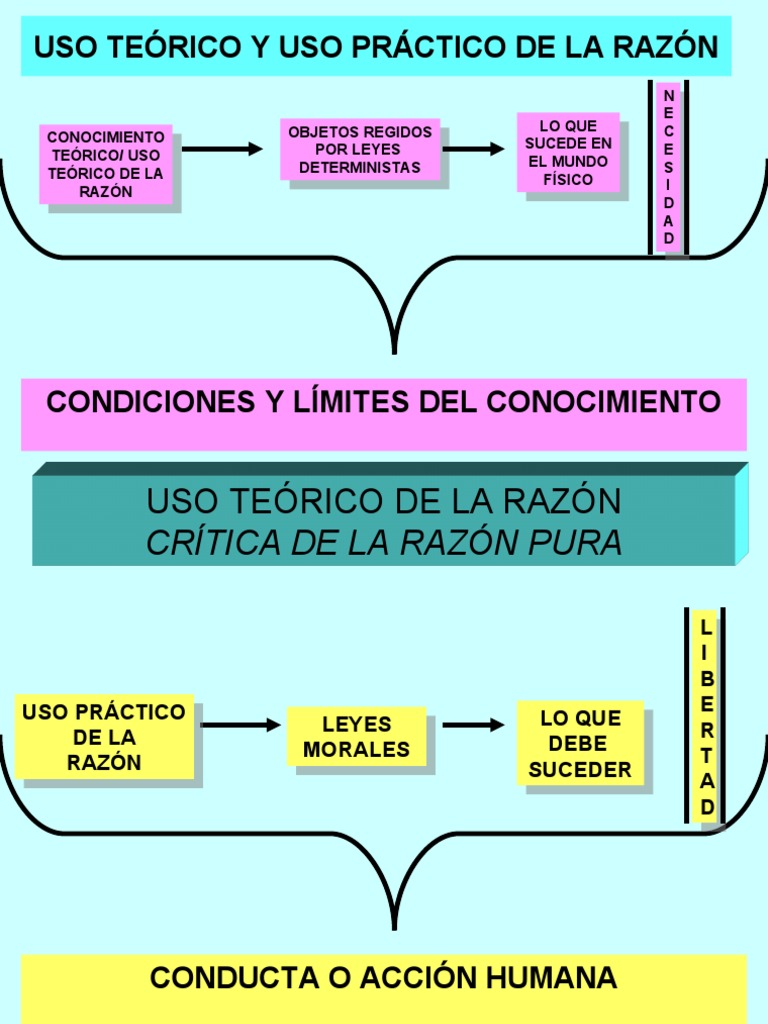 Uso Teórico y Uso Práctico de La Razón | PDF