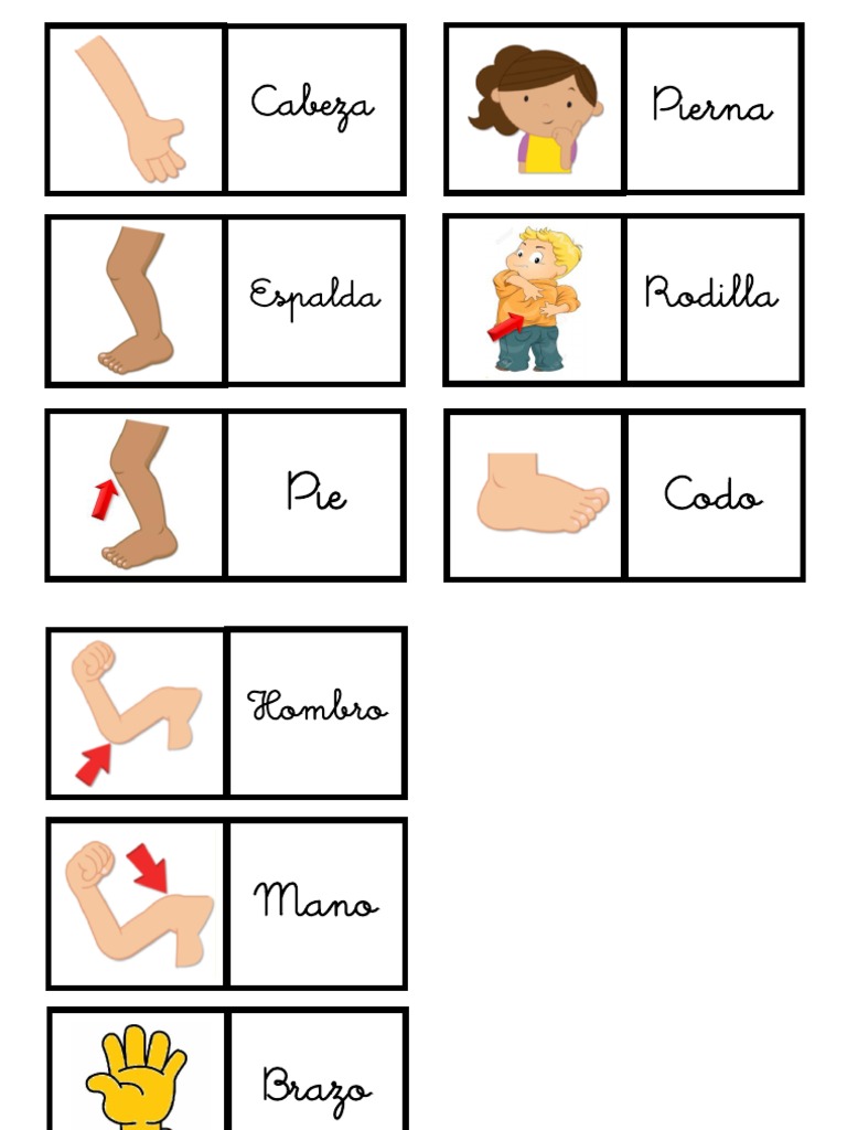 Domino Partes Del Cuerpo (Castellano) | PDF