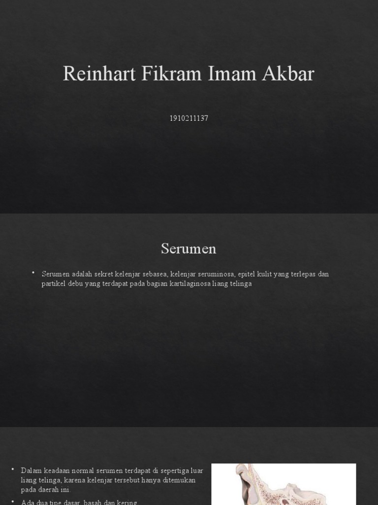 Reinhart Fikram Imam Akbar | PDF
