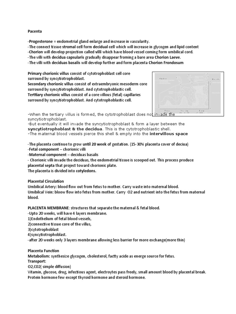 Cytotrophoblastic Shell in Placenta Development | PDF | Placenta | Twin