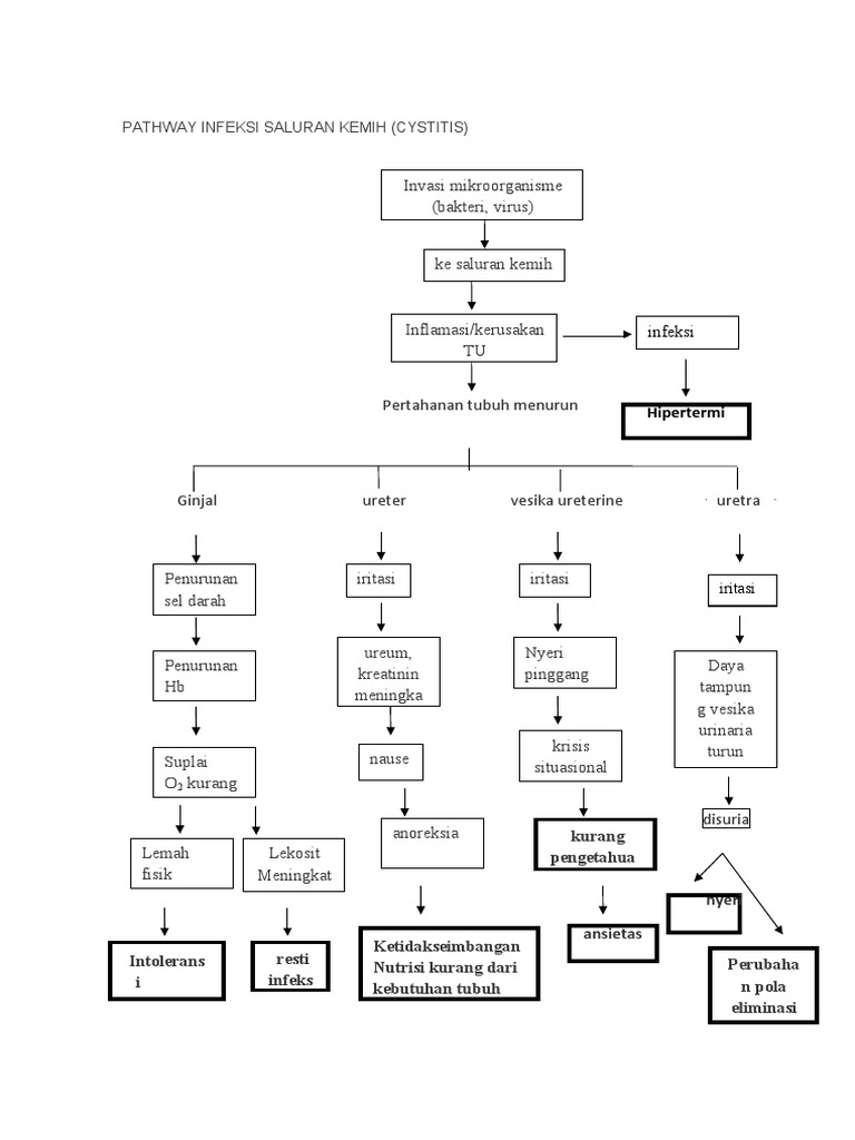 (PDF) Pathway Cystitis | PDF