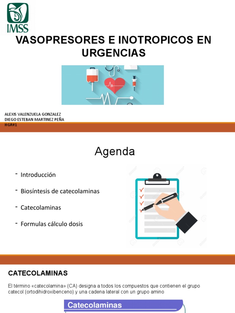 Vasopresores e Inotropicos | PDF | Norepinefrina | Dopamina